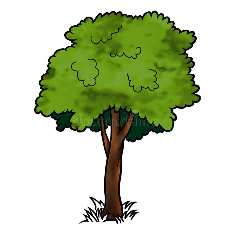 Cartoon Deciduous Tree Stock Illustrations – 11,089 Cartoon Deciduous ...