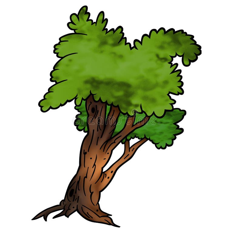 Deciduous Illustration Tree Stock Illustrations – 30,278 Deciduous ...