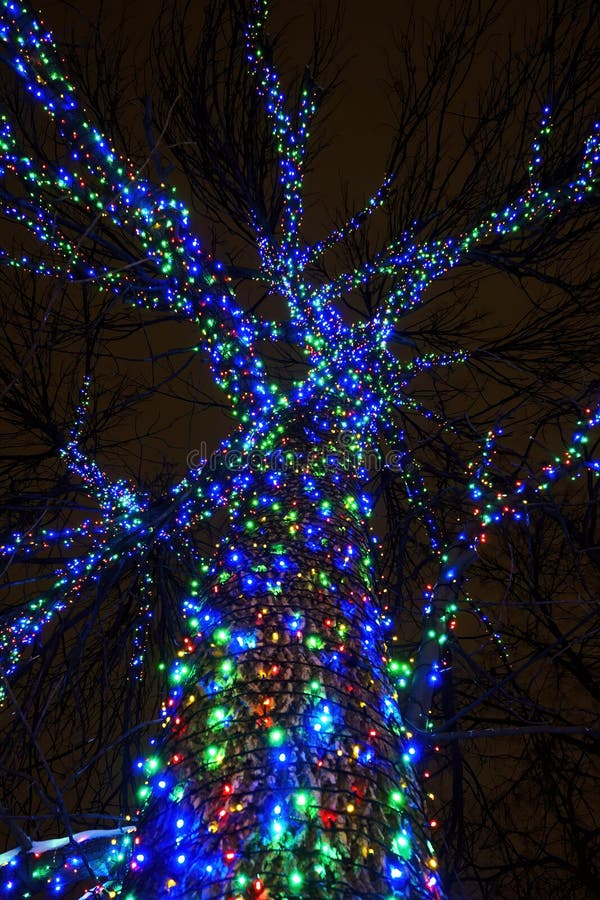 A Tree Decorated with a Multi-colored Garland. Night Illumination of a ...