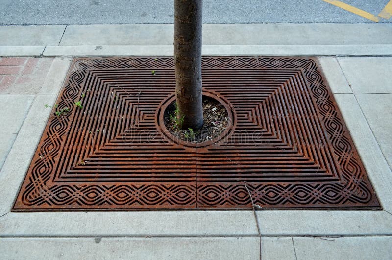 Tree in Decorative Sidewalk Grill Stock Image - Image of rusty, tree ...