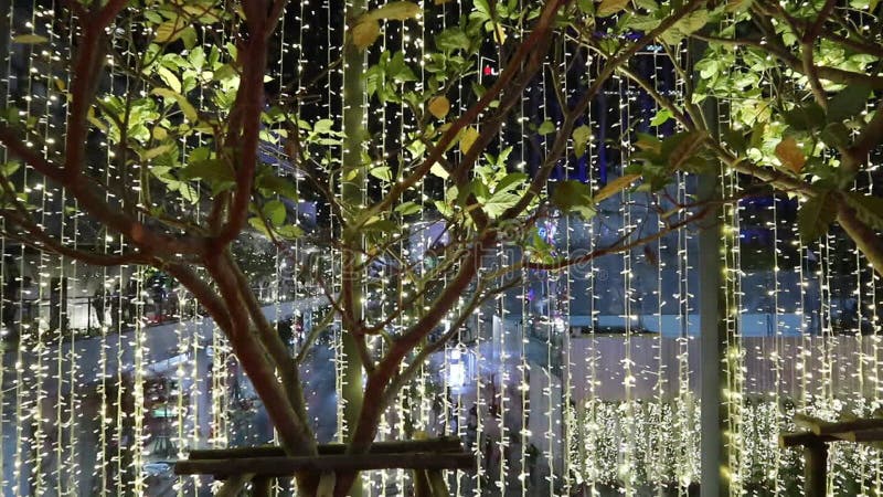 A Tree and Decorative String Lights with Traffic on Sukhumvit Road in ...