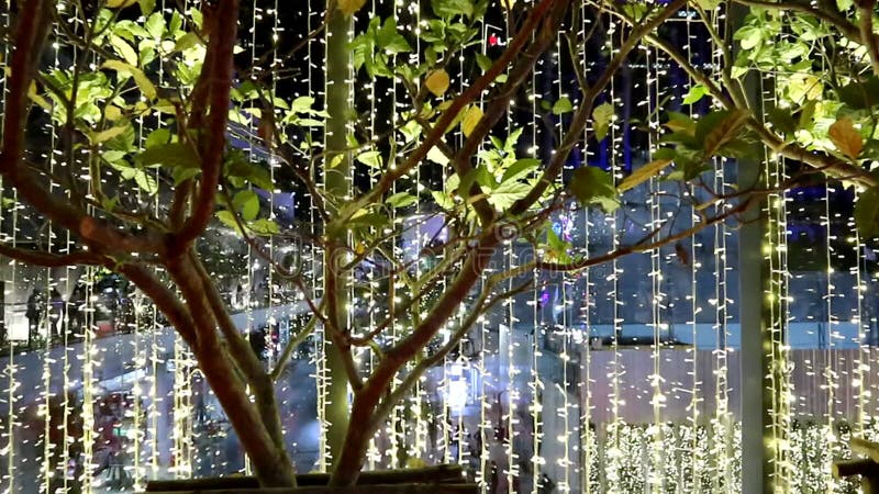 A Tree and Decorative String Lights with Traffic on Sukhumvit Road in ...