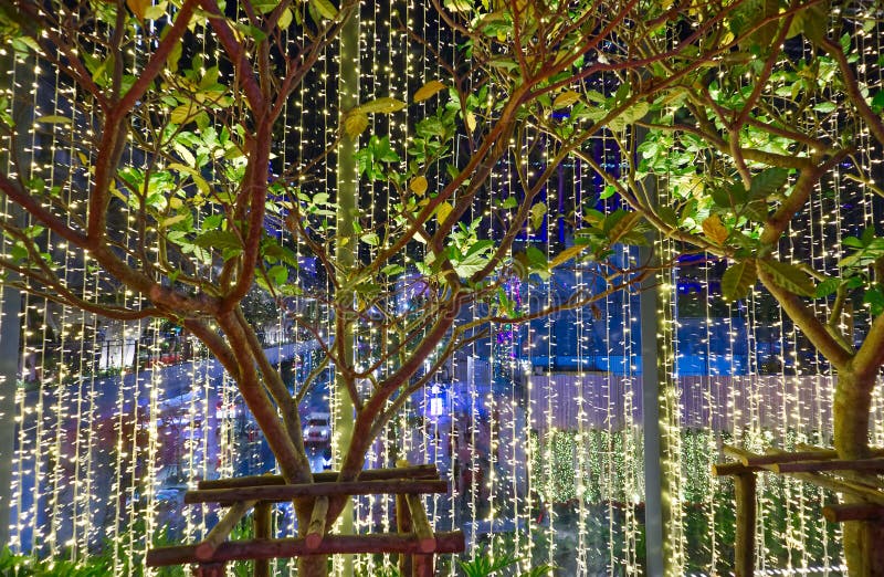 A Tree and Decorative String Lights with Traffic on Sukhumvit Road in ...