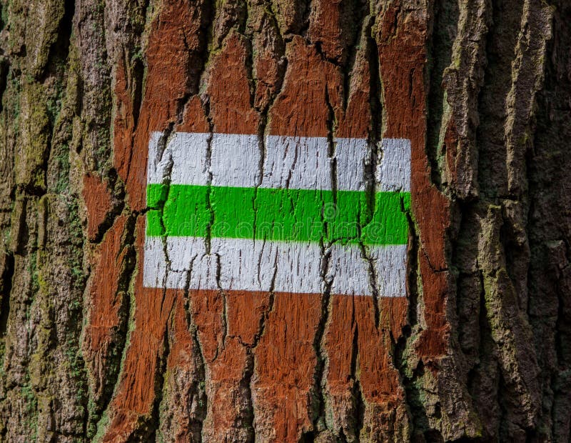 Tree signpost stock photo. Image of white, trail, tree - 49670856