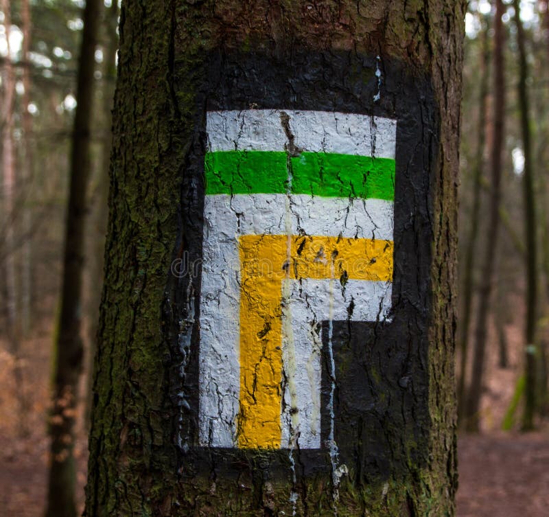 Tree signpost stock image. Image of arrow, signpost, direction - 52712273