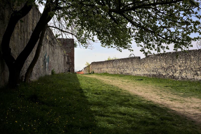 Tree in a Dirt Path between Boundary Walls in a Park by the Hillside ...