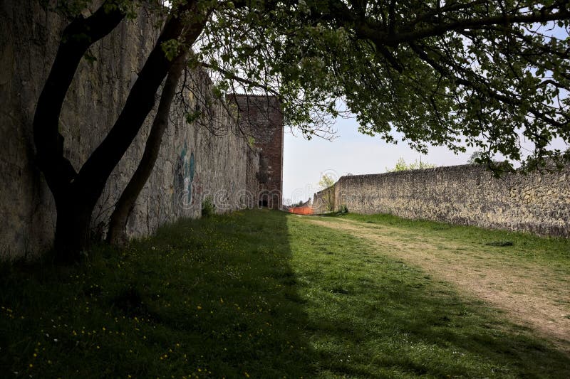 Tree in a Dirt Path between Boundary Walls in a Park by the Hillside ...