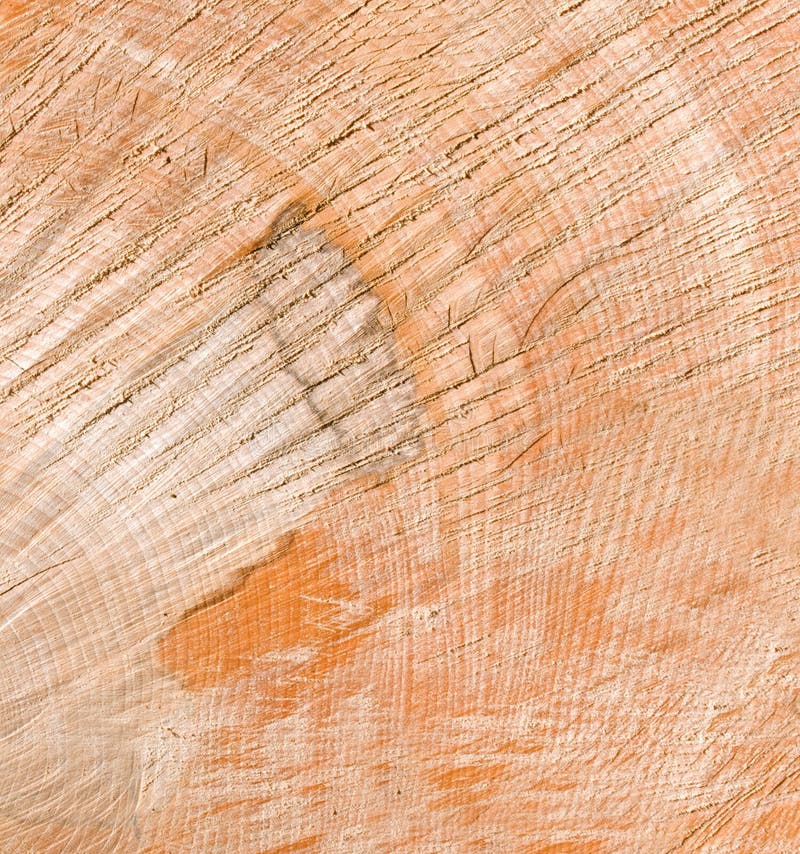 Tree Disc stock image. Image of ground, material, wallpaper - 23858811
