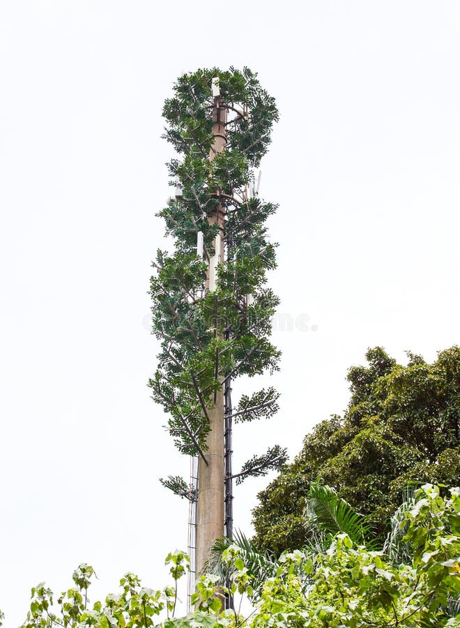 Tree in Disguise Power Pole Stock Image - Image of visual, camouflage ...