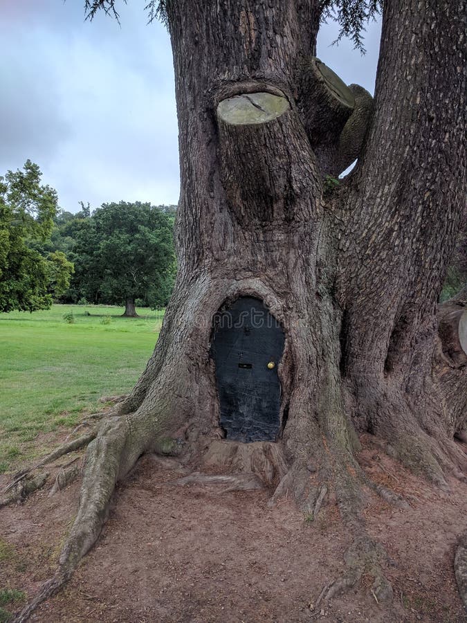 925 Hobbit Tree Stock Photos - Free & Royalty-Free Stock Photos from ...