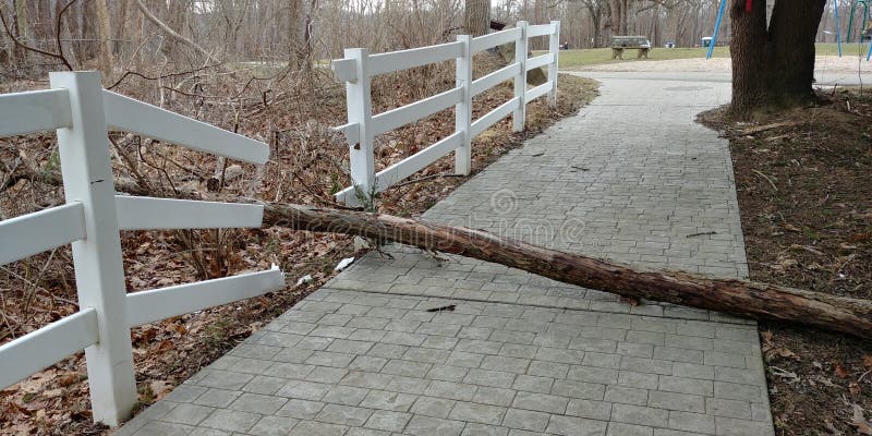 Tree down on fence stock photo. Image of fence, winds - 140607688