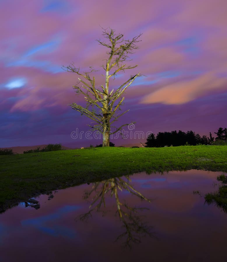 Tree at Dusk. Nightfall in the Natural Park of Aiako Harriak, Euskadi ...