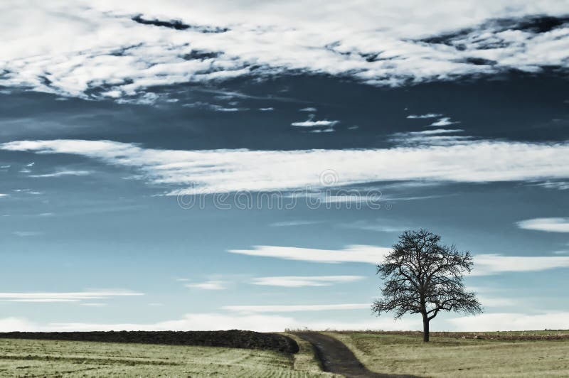 Tree in early spring stock image. Image of field, painted - 200404075