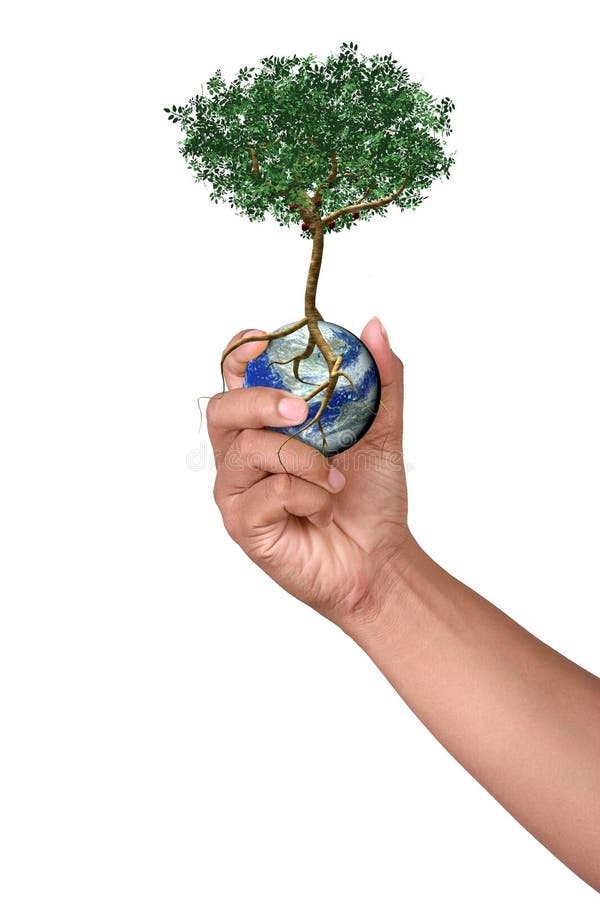 Tree on earth stock image. Image of kindness, greenhouse - 5440123