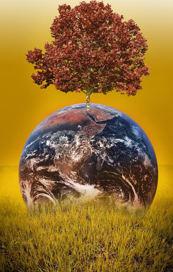 Tree on earth stock photo. Image of environmental, care - 4750158