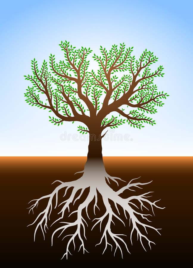 78+ Earth tree roots Free Stock Photos - StockFreeImages