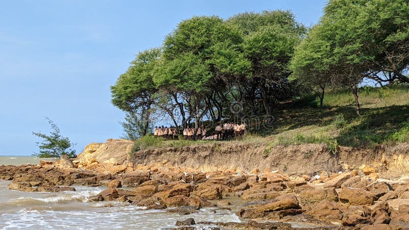 A Tree on the Edge of the Beach and Neat Rocks Stock Image - Image of ...