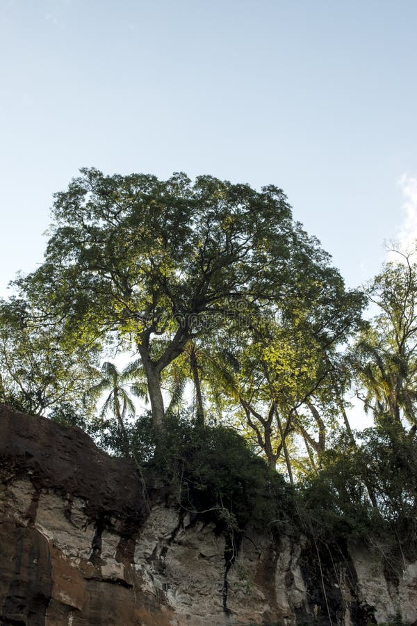 Cliffnature Stock Photos - Free & Royalty-Free Stock Photos from Dreamstime