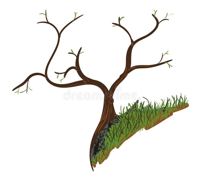 Tree on the Edge stock vector. Illustration of outdoors - 49629751