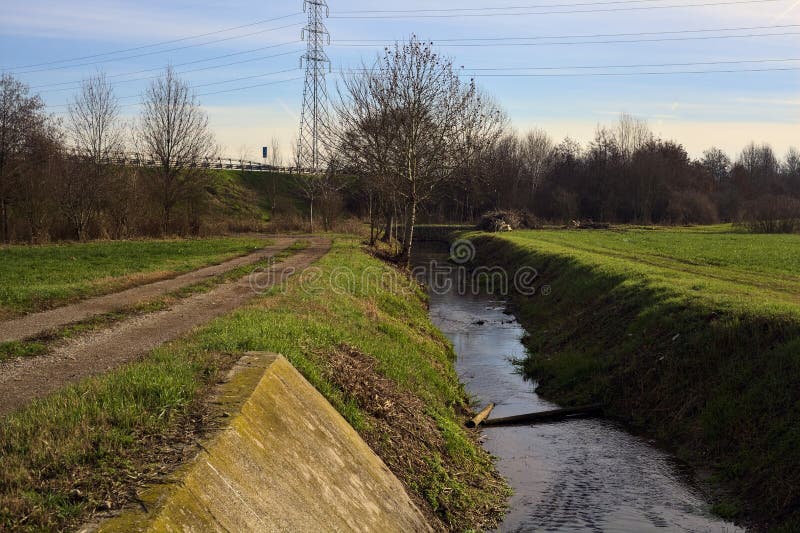 Tree by the Edge of a Stream of Water Next To a Field and a Dirt Path ...