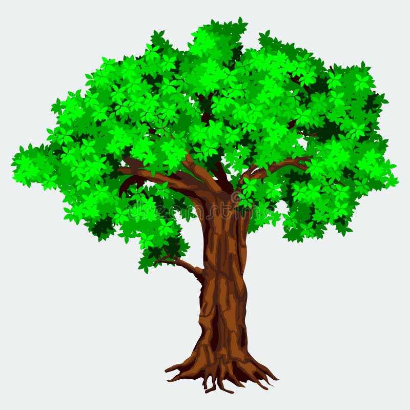 Isolated Detailed Dense Tree Vector Illustration Stock Vector ...