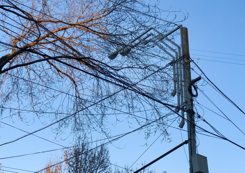 Tree and the Electrical Column on Background of Blue Sky Stock Photo ...