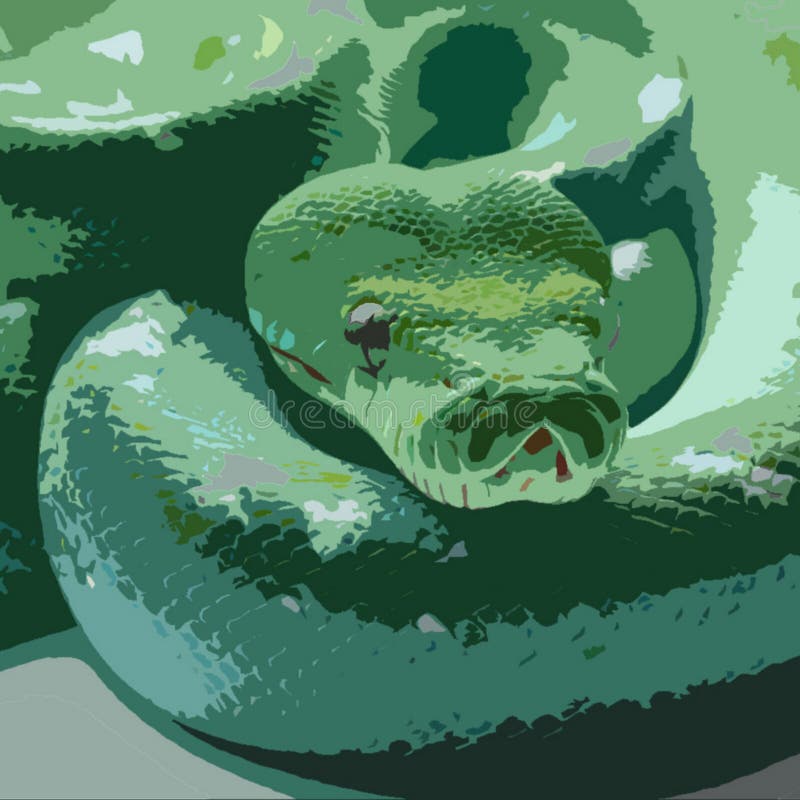 Tree emerald boa stock illustration. Illustration of nature - 321383849