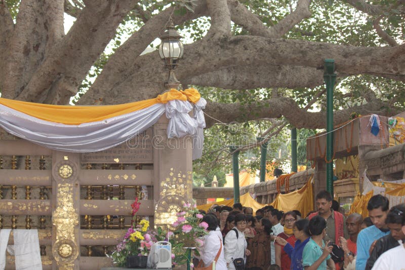 The tree of enlightenment editorial stock photo. Image of face - 18636958