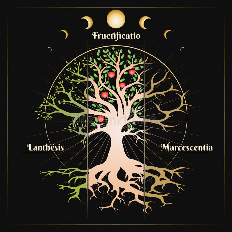 Tree of Essence in Circle of Life Medieval Esoteric Illustration Stock ...