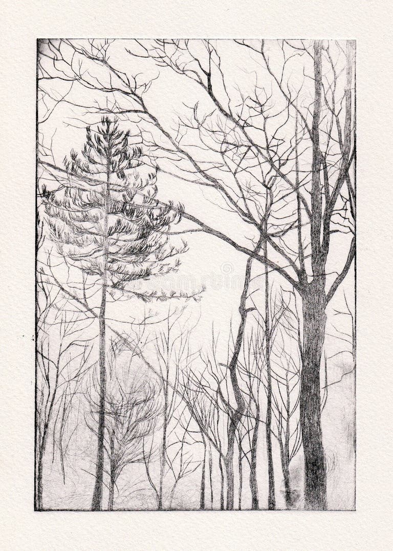 Tree Etching Stock Illustrations – 9,557 Tree Etching Stock ...