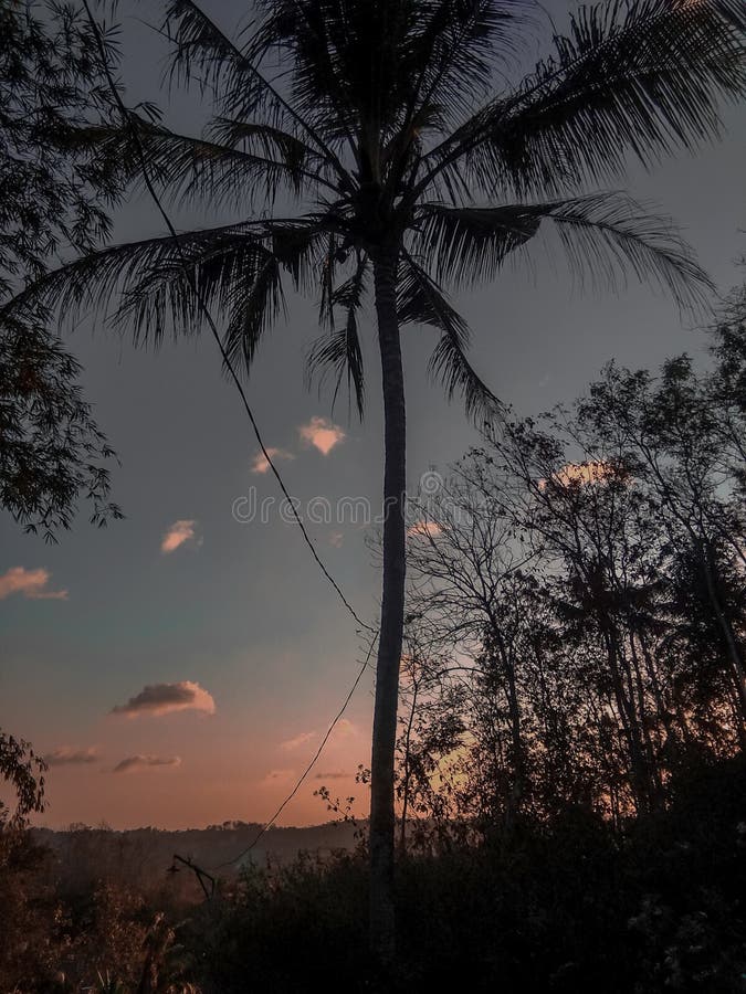 Tree Evening Cloud Beautiful Sunset Dust Stock Image - Image of sunset ...