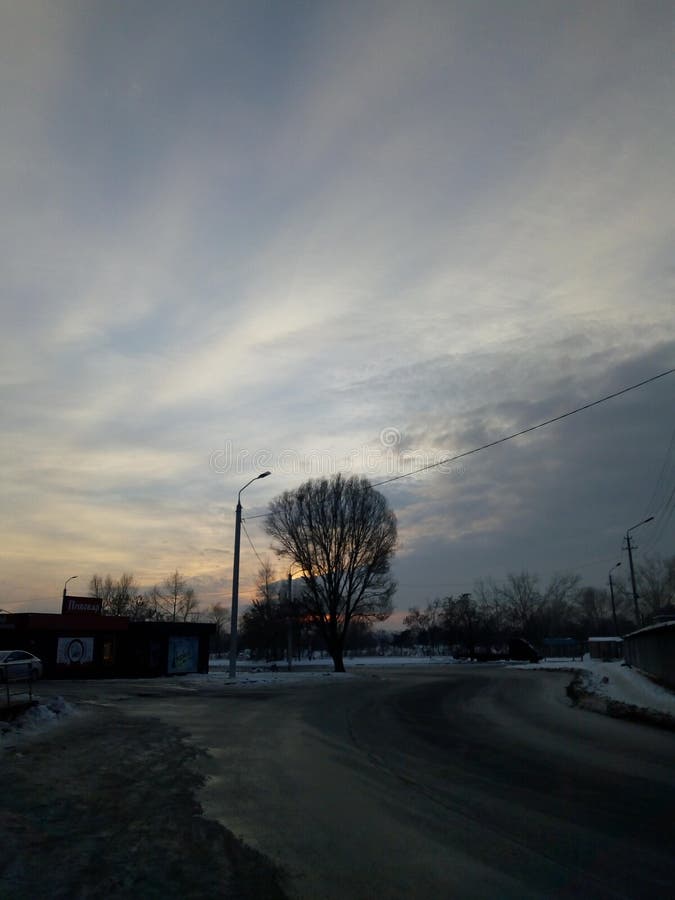 Tree Evening Clouds Sky Landscape Stock Photo - Image of evening, tree ...