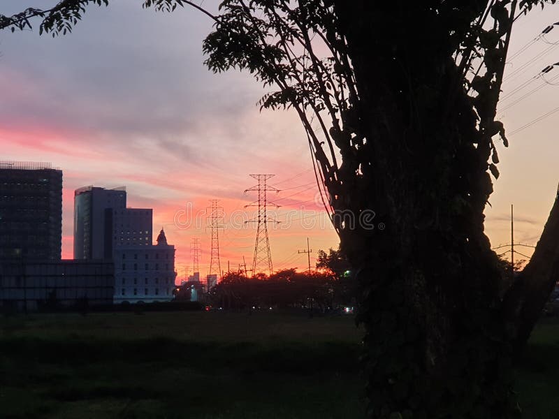 Tree Evening Horizon Wonderful Branch Stock Image - Image of sunset ...