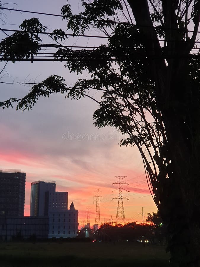 Tree Evening Horizon Wonderful Branch Stock Photo - Image of horizon ...