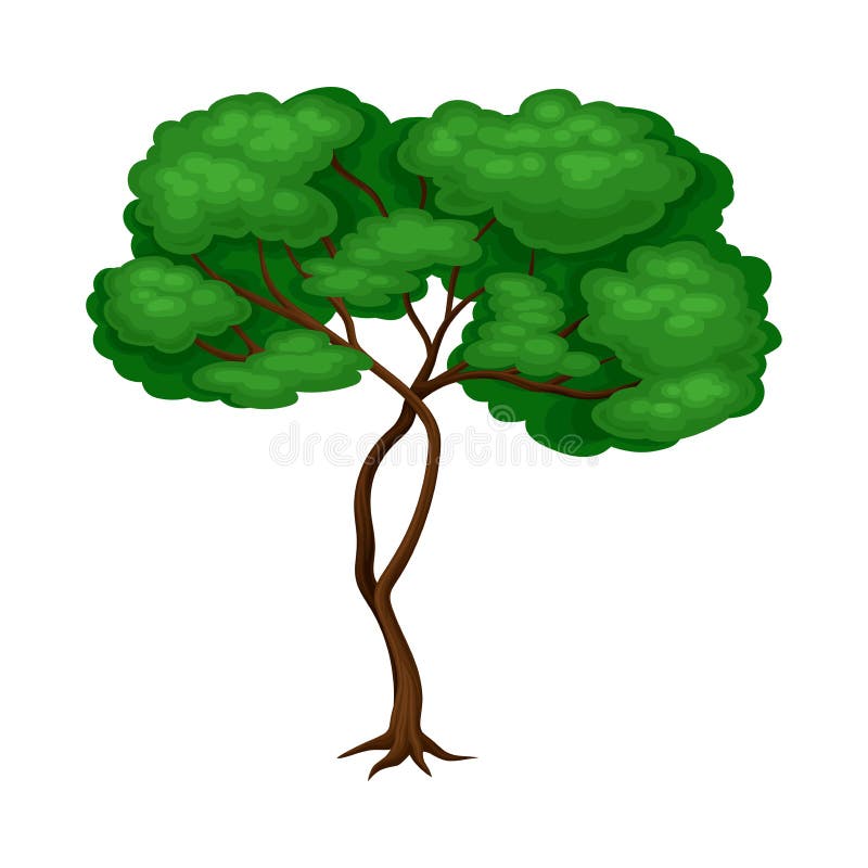 Exuberant Image Stock Illustrations – 597 Exuberant Image Stock ...