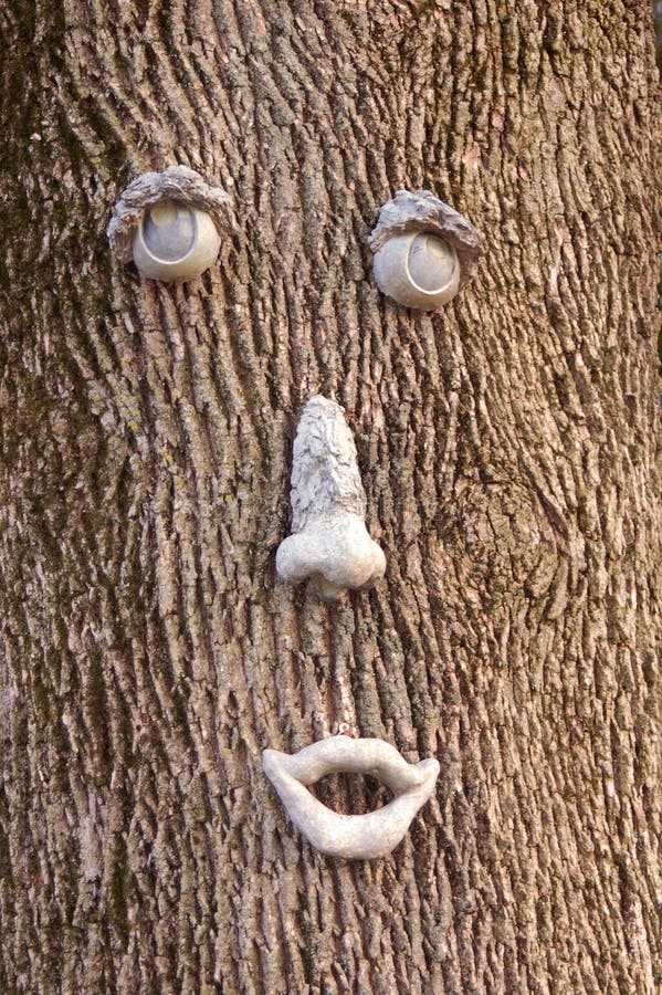 Tree Face stock image. Image of garden, face, whimsical - 3175909