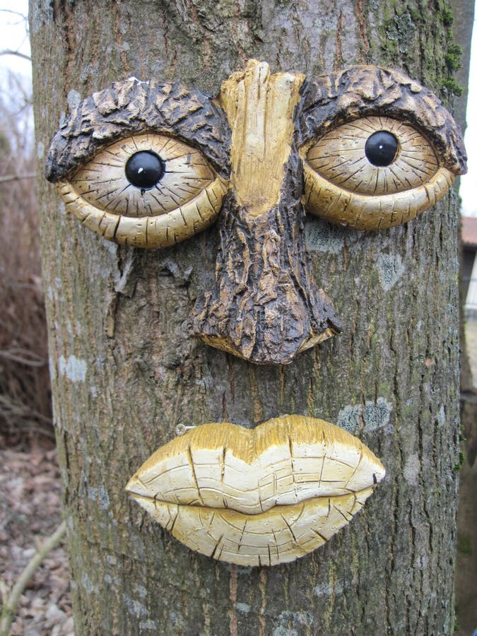 Tree face stock image. Image of view, park, stuff, crazy - 38444589