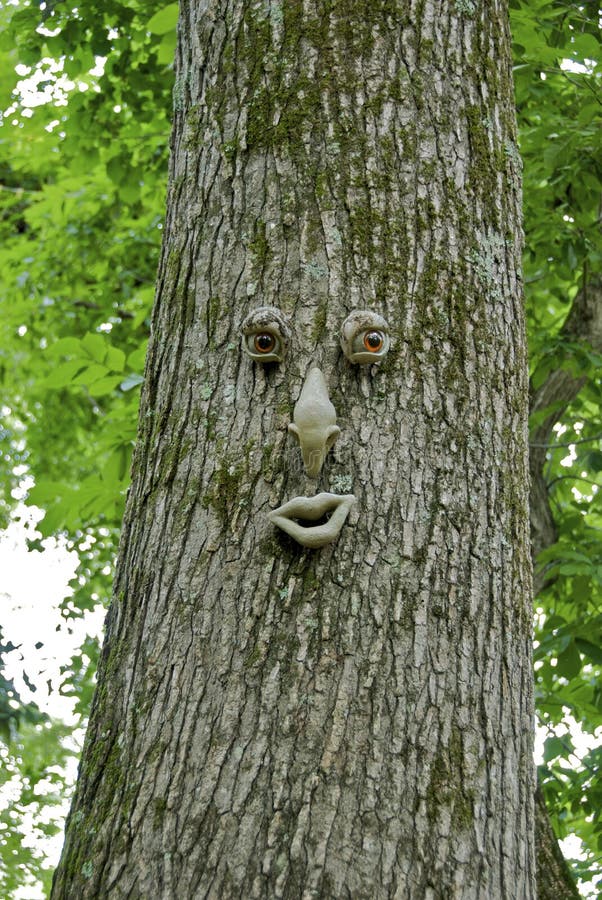 Tree With Face Picture. Image: 6437853