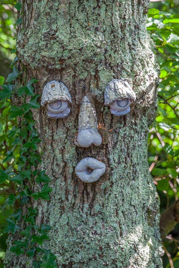 Tree face stock photo. Image of leaves, nature, tree - 33428778