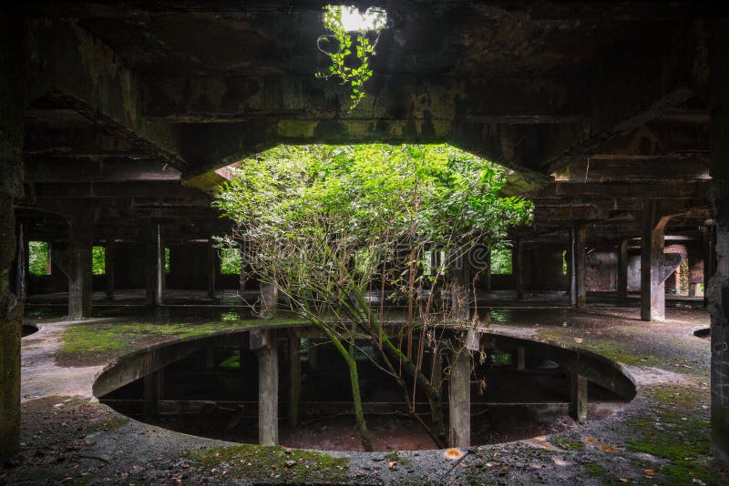 Tree Factory Pipes and Factory Territory Stock Image - Image of house ...