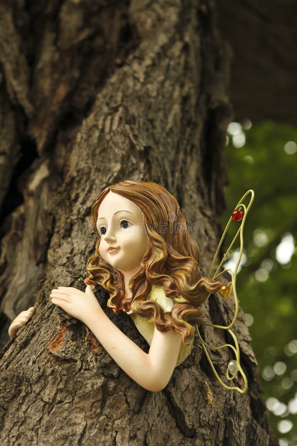 Tree fairy stock image. Image of tree, magic, bark, ornament - 29019823
