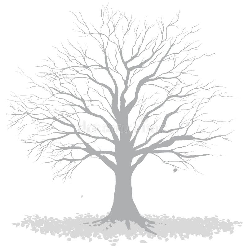 The Tree with Fallen Leaves.Monochrome Vector Illustration. Stock ...
