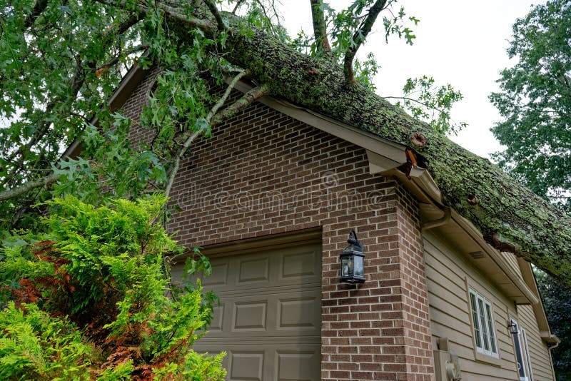 Tree Fallen on Top of House Stock Image - Image of disaster, rain ...