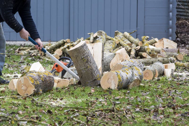 A Tree Falling in the Garden while Being Cut Stock Photo - Image of ...