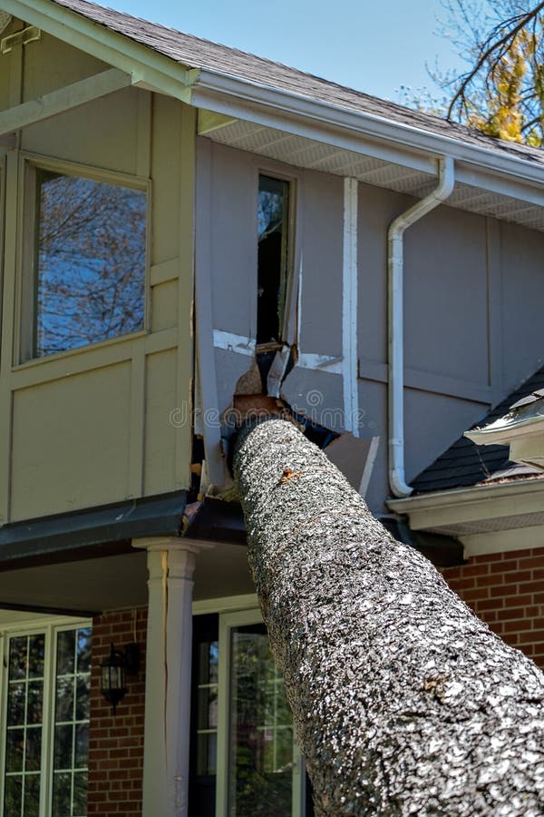 Damaged House stock image. Image of damaged, frame, tree - 119361601
