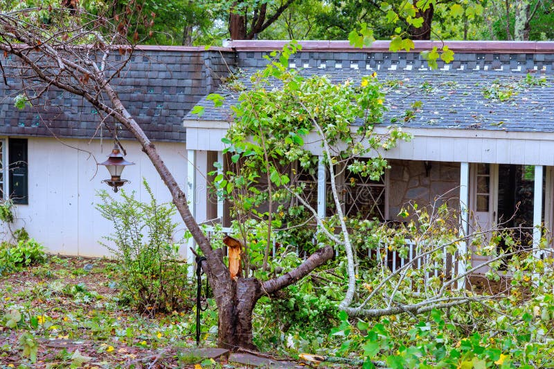 Tree Falls on House after Storm Causing Significant Damage Blocking ...