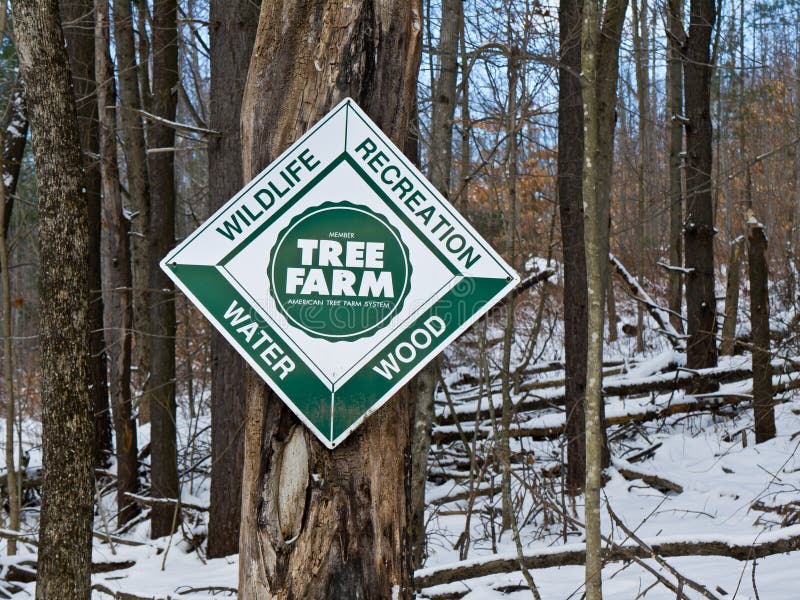 Recreation Our Forests Stock Photos - Free & Royalty-Free Stock Photos ...