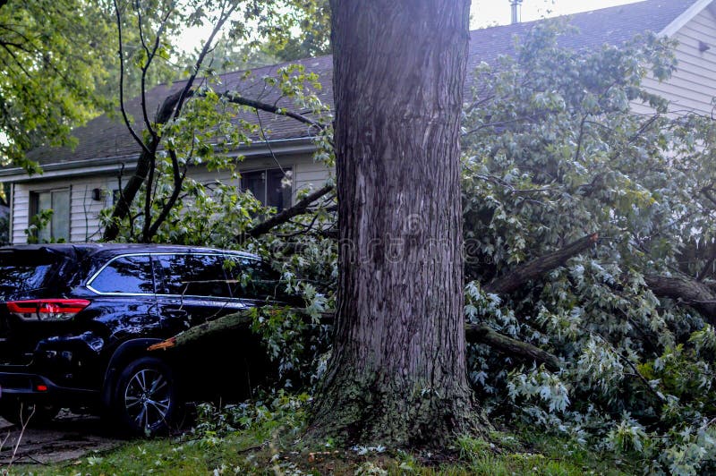 Tree Fell Across Road in Microburst Storm Editorial Stock Image - Image ...