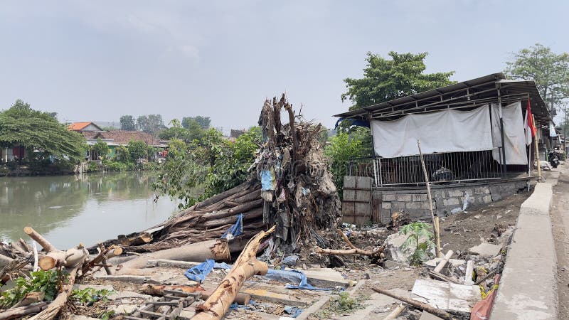 The Fallen Tree Was Caused by a Strong Storm Editorial Photo - Image of ...
