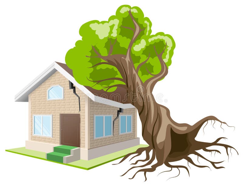Tree Fell on House. Home Insurance Stock Vector - Illustration of ...